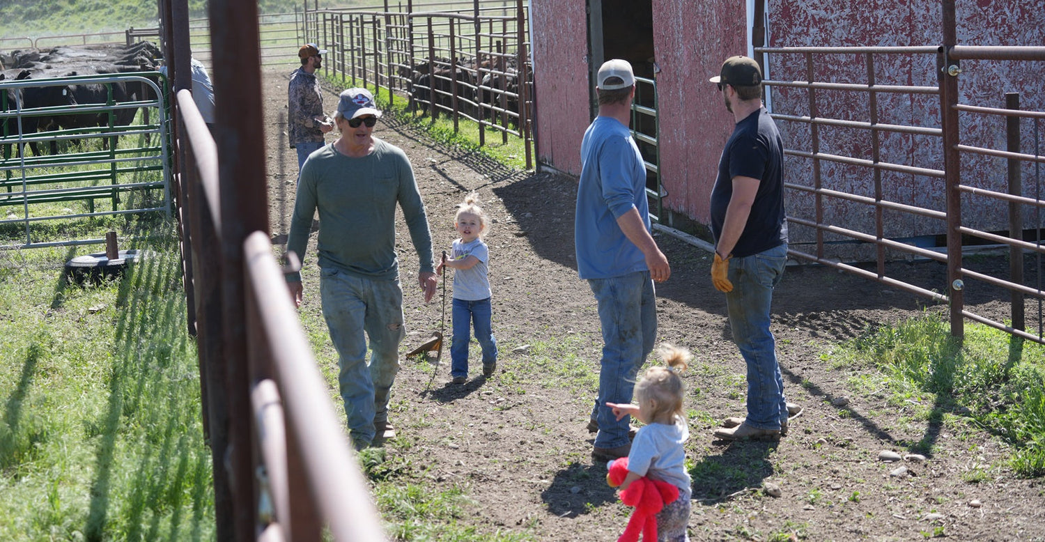 Grain-Finished vs. Grass-Finished Beef – Bennett Livestock